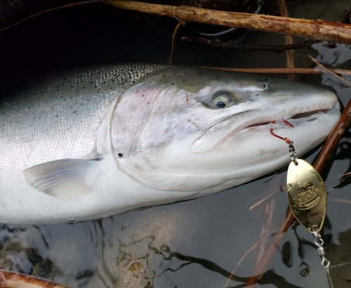Prime Lures Co.